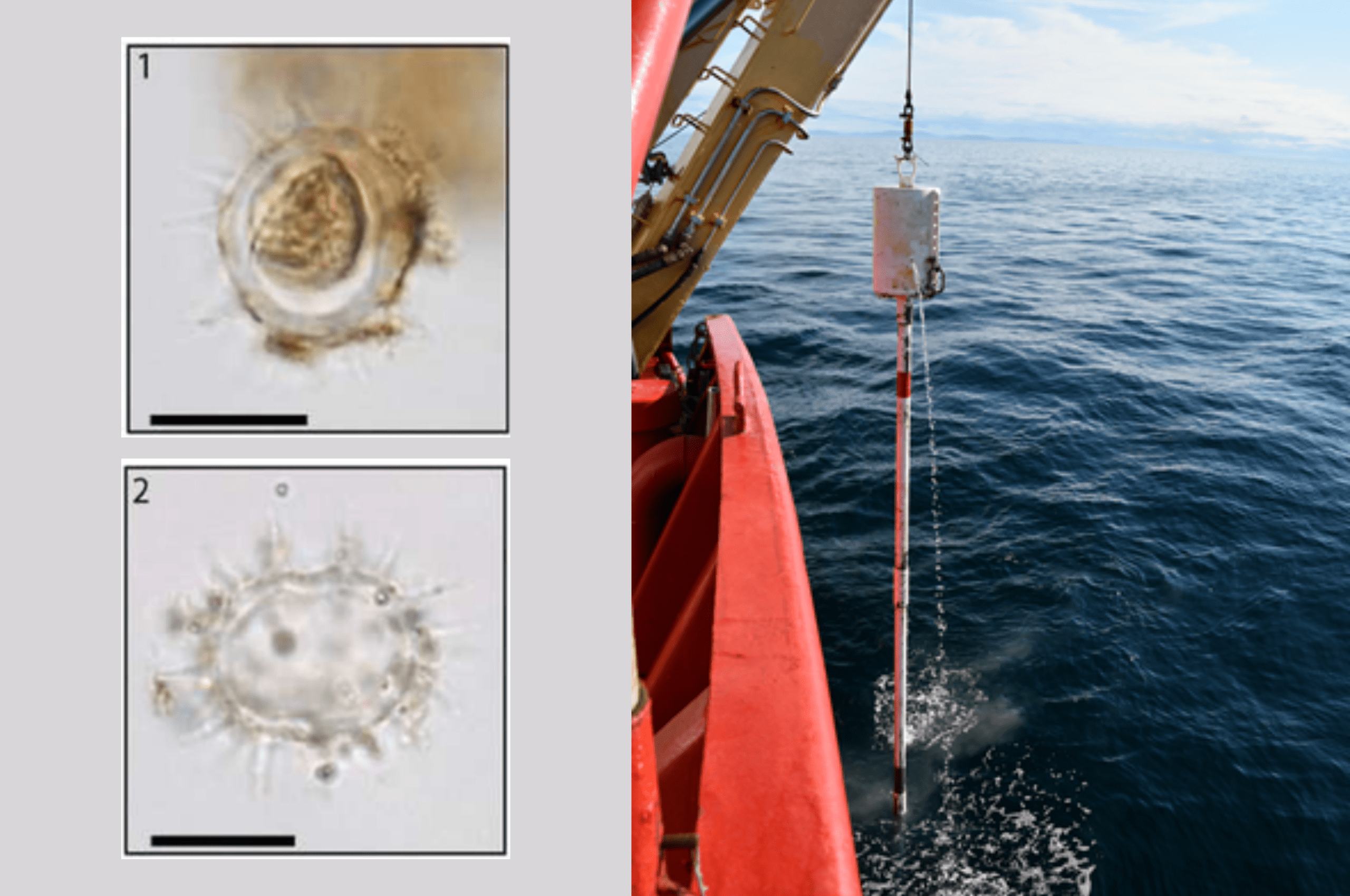 Ancient DNA Helps Researchers Understand Sea-Ice Past Conditions ...