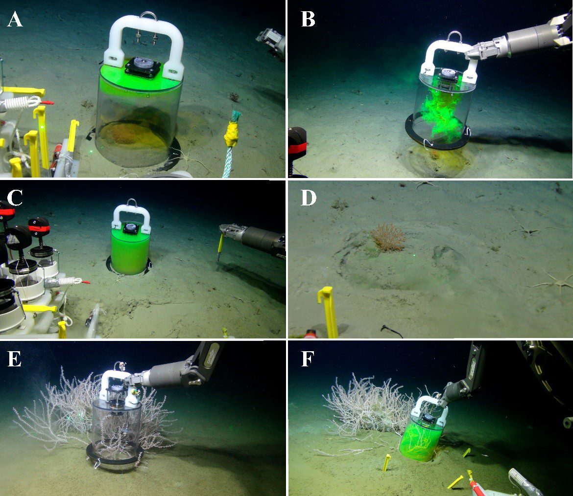 2021 Expedition | Amundsen Science